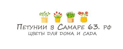 Петунии в Самаре | Рассада вегетативной петунии, калибрахоа, пеларгоний ...