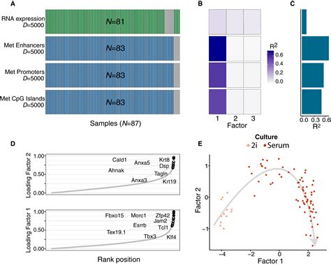 multi‐omics factor analysis—a framework for unsupervised integration of multi‐omics data sets