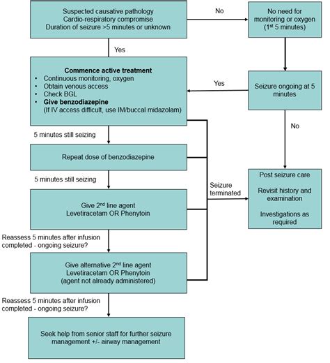 Clinical Practice Guidelines Seizures Acute Management