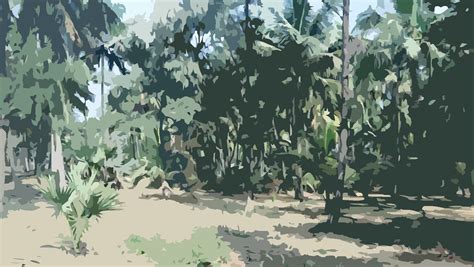 Request For Vector Tracing Feedback For Affinity Designer V1 On Desktop Affinity Forum