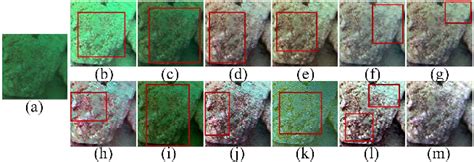 Figure 7 From A Pixel Distribution Remapping And Multi Prior Retinex Variational Model For