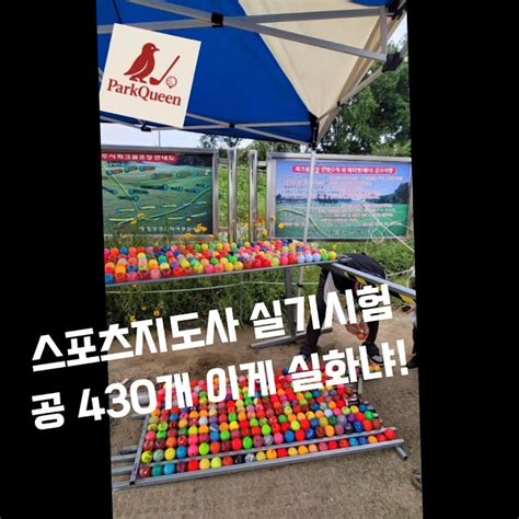 파크골프의 시대 파크골프공 대기 430개 이게 실화냐 미호강파크골프장 파크골프스포츠지도사 자격증 파크골프채 파크골프스윙 스포츠지도사 Youtube