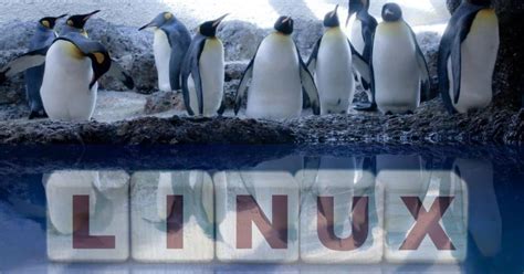 How To Choose The Best Linux Distribution Mr Tech Tools