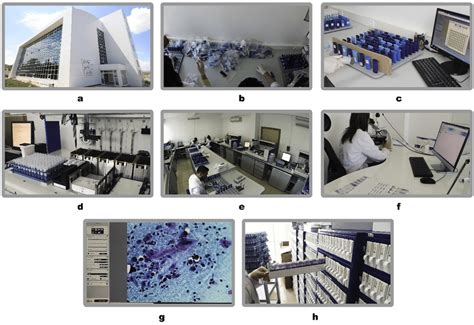 Flowchart Of The National Hpv Laboratory 1a National Hpv Lab Is On Download Scientific Diagram
