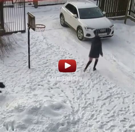 Niezbyt Bystra Wiochapl Absurd 1748437