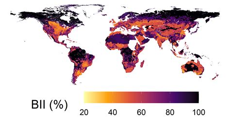 Biodiversity Intactness Index Natural History Museum