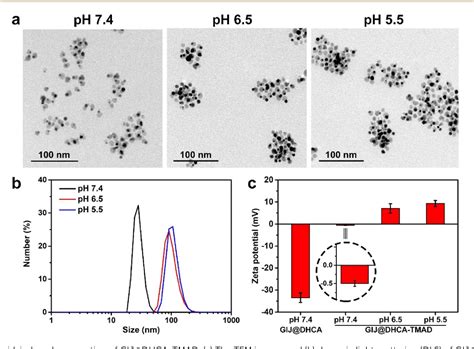 Figure 1 From Acid Triggered In Vivo Aggregation Of Janus Nanoparticles For Enhanced Imaging