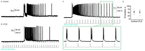 Low Frequency Hyperpolarization Of Camkii Neurons Did Not Affect Ictal Download Scientific
