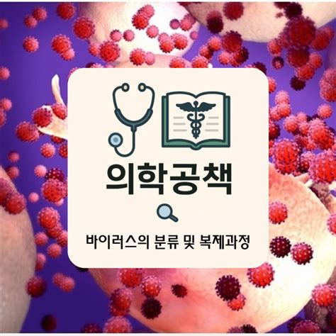 감염 바이러스의 분류 및 복제 과정 네이버 블로그