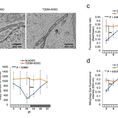 Pld3s Exonuclease Function Impacts The Endolysosomal Nucleotide