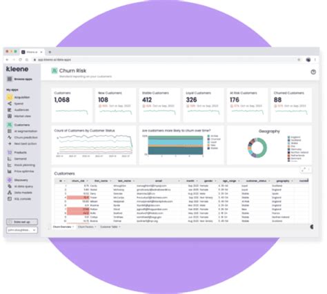 AI Churn Prediction Kleene