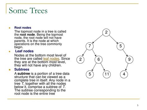 Trees Saurav Karmakar Ppt Download