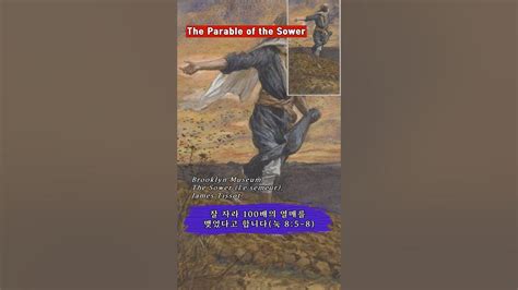 예수 이야기 기적과 비유11 씨뿌리는 사람 1분요약 신약성서 그림으로 읽기 성경이해를 돕는 북리뷰 Youtube