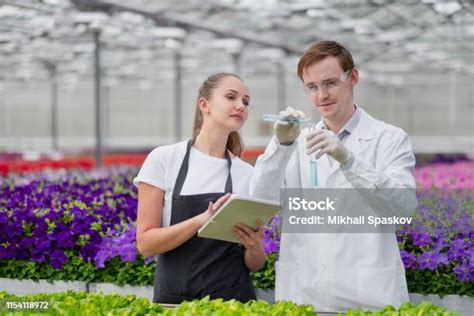 두 과학자 농업 경제 학자 개종 남자와 여자 온실에서 샘플을가지고 2명에 대한 스톡 사진 및 기타 이미지 2명 고객 고객 중심 Istock