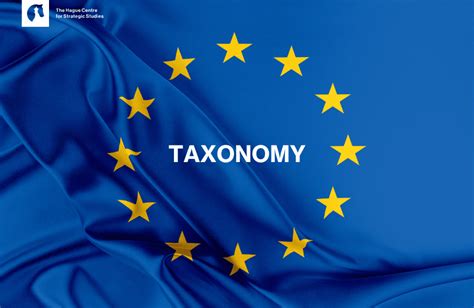 The Eu Taxonomy Explained Hcss