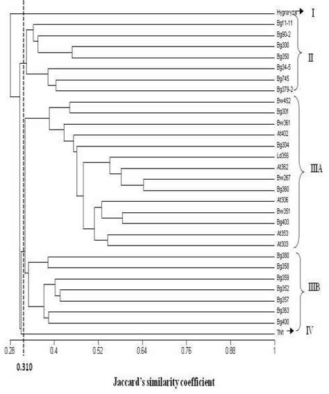 Upgma Dendrogram Based On Jaccard Similarity Coefficient Of Sri Lankan