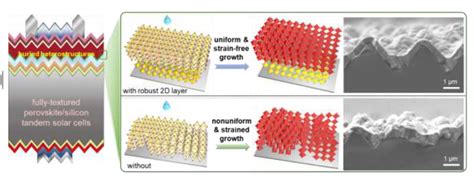 纳米人 Am：工业织构硅上高效钙钛矿 硅串联太阳能电池的共形 2d 3d 钙钛矿异质结埋置界面工程