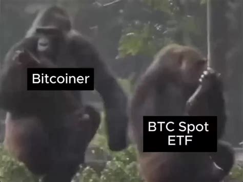 sip code posted on linkedin