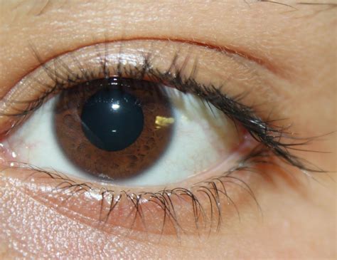 Brown Eye Color
