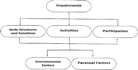 Functional Capacity And Health A Model Of The International Classifi Download Scientific