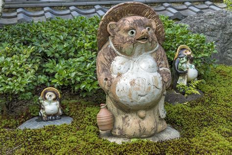 Tanuki