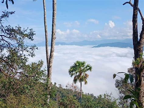 นุ้นก็ทะเล อุทยานแห่งชาติแม่เมย Mae Moei National Park
