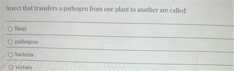 Insect That Transfers A Pathogen From One Plant To