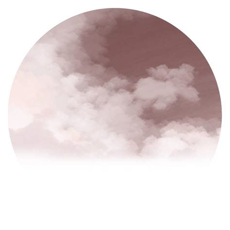 Tree Png Top View Spring Premium PNG