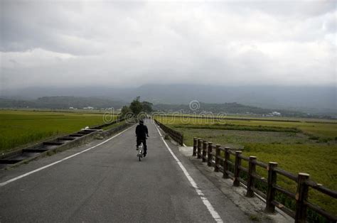Fuga Biking Do Campo Do Arroz De Chishang Foto Editorial Imagem De Carregadores Alimento
