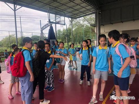 关于2020海外暑期游学，家长们最关心的几个问题 知乎