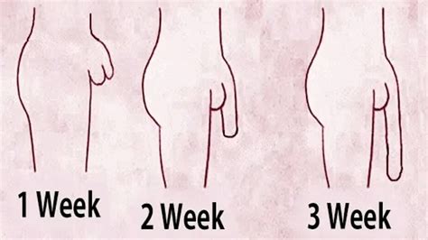 Kegel Exercises For Men Increase Size Of Dragon YouTube