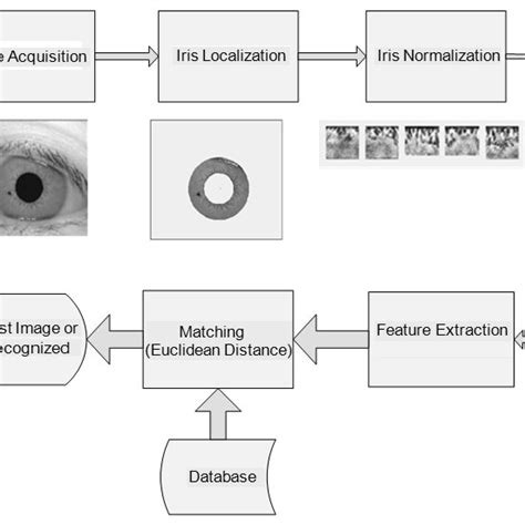 Flowchart Of Iris Recognition System Using Feature Extraction From