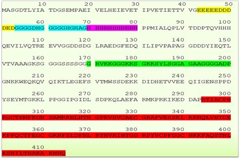 schematic representation of yy1 sequence and its highlighted features