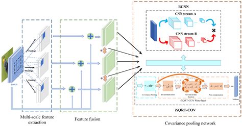 Multi Scale Feature Fusion Of Covariance Pooling Networks For Fine