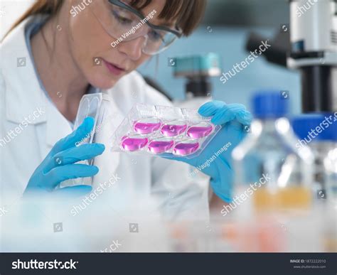 Cancer Microscope Over 16 401 Royalty Free Licensable Stock Photos Shutterstock