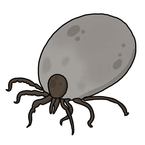 5개 이상 무료 Itch 및 진드기 일러스트레이션 Pixabay