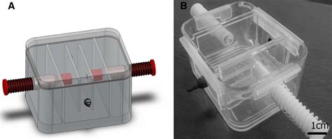 Bioreactor Configuration A A Sketch Of The Perfusion Bioreactor