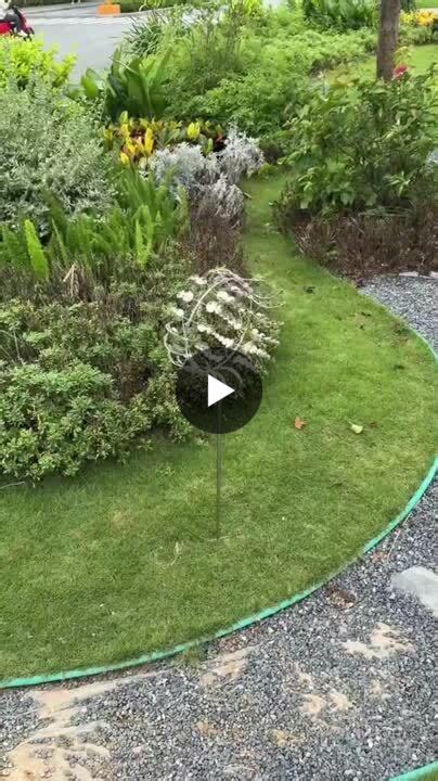 Feel Like Your Yard Is Missing Something Be Happy Follow Us For Amazing Stories ☀️