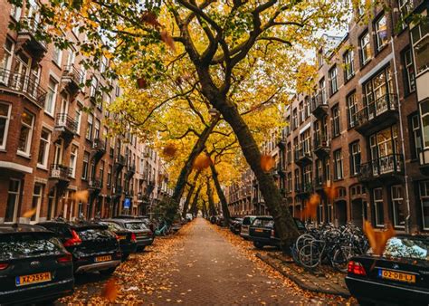 Fall In Amsterdam Lomanstraat Amsterdam Travel Autumn Photography