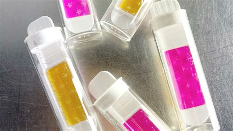 The Importance Of Microbiology Testing Cosmetics Ology Essentials Labs