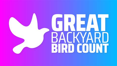 Birdwatching Facts For The Great Backyard Bird Count