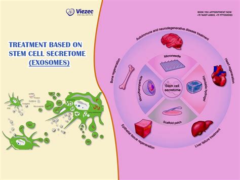 Treatment Based On Stem Cell Secretome Exosomes