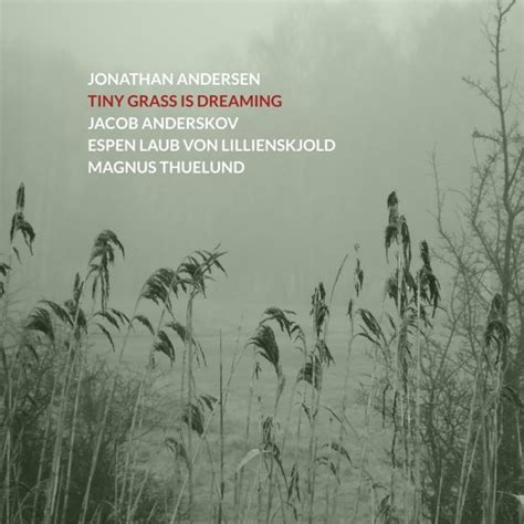 Stream Jonathan Andersen Listen To Tiny Grass Is Dreaming Playlist Online For Free On Soundcloud