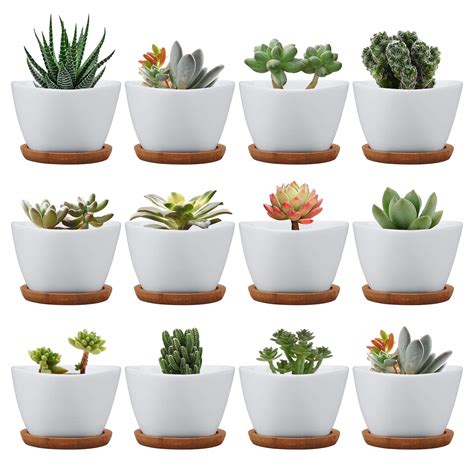 Small Flower Pots