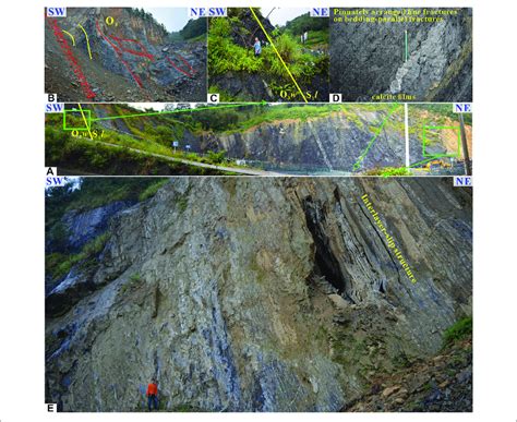 Structural Deformation Characteristics Of Different Sections Of The Download Scientific