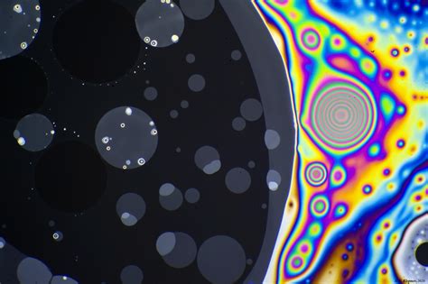 3410 Best Microscope Images On Pholder Interestingasfuck Micro Porn