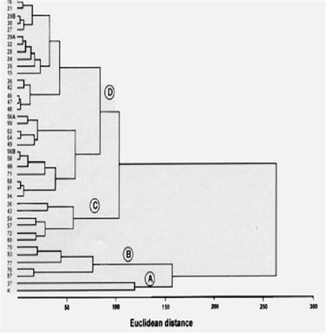 Dendrogram Depicting The Similarity And Successive Clustering Of Rice
