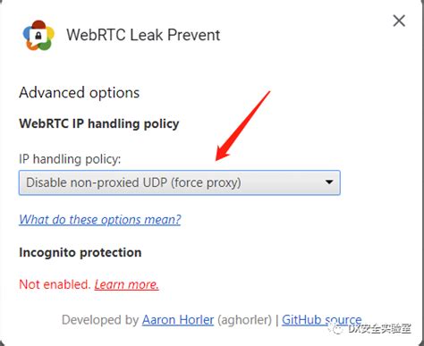 Webrtc红蓝对抗webrtc漏洞检测 实时互动网