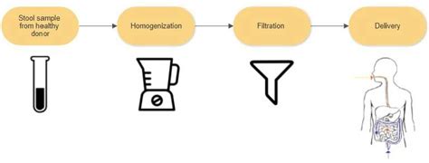 Schematic Diagram Of The Fmt Process Download Scientific Diagram