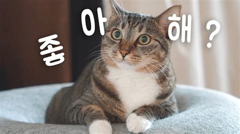 너를 즐겁게 할 수만 있다면 Youtube